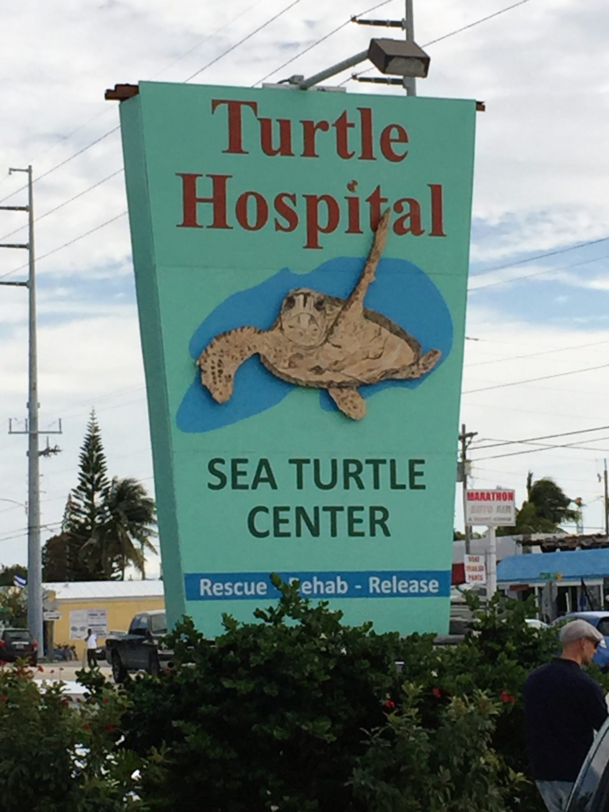 58 – Turtle hospital, Marathon Key – Easing Along