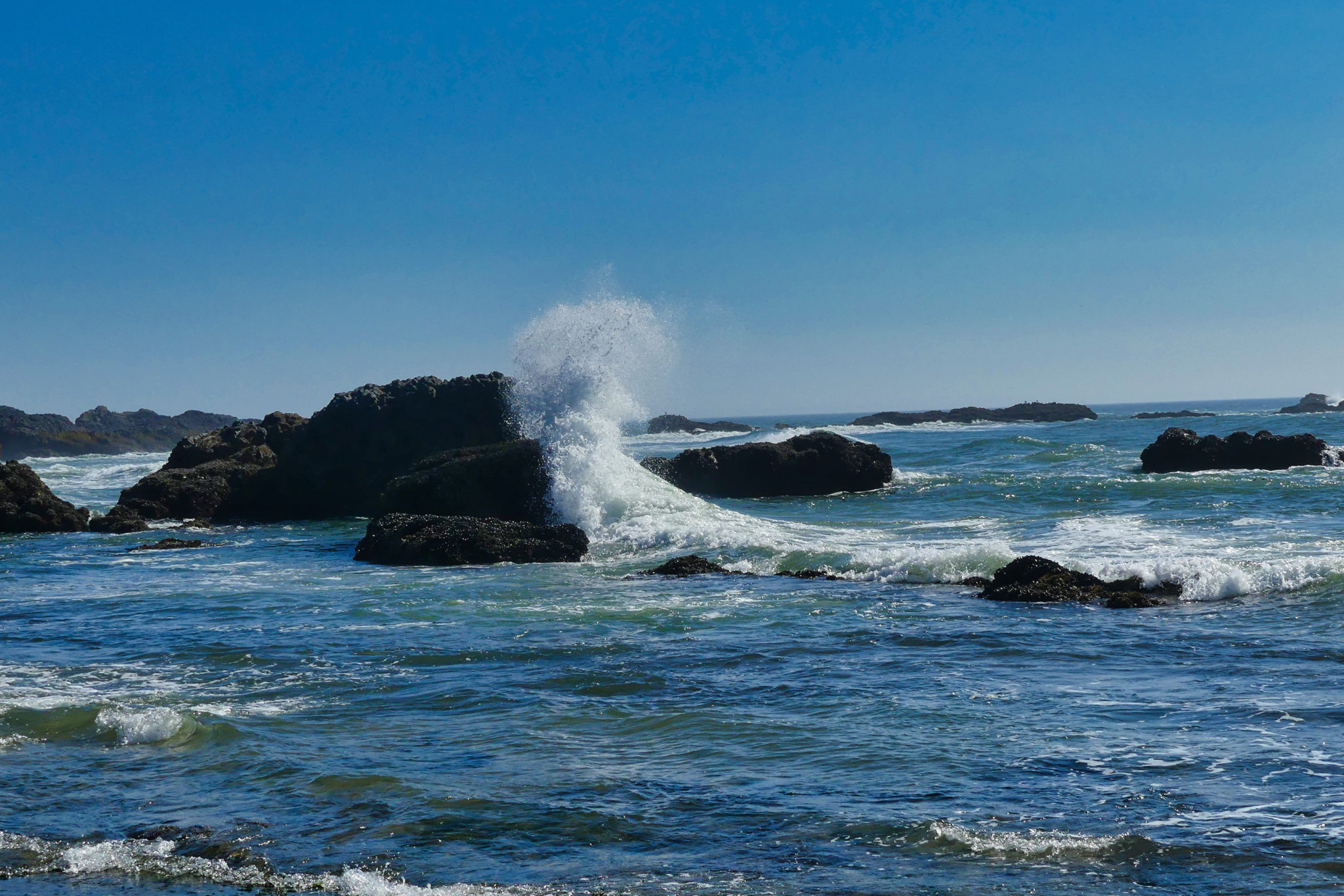 Picture Gallery – Seal Rock, OR - Easin' Along