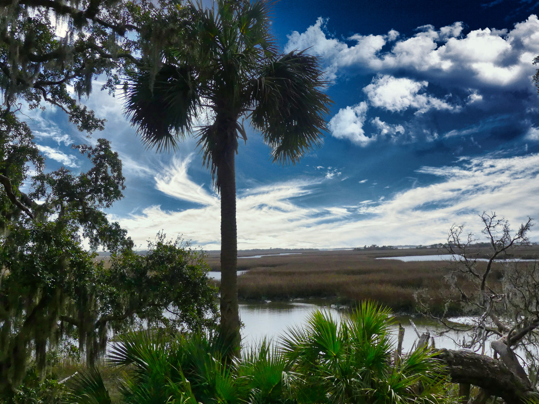 King’s Bay, GA and Cumberland Island – Easin' Along